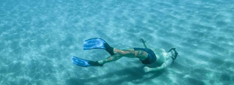 ¿Qué es el Buceo en Apnea o Buceo Libre? | DPM Diving