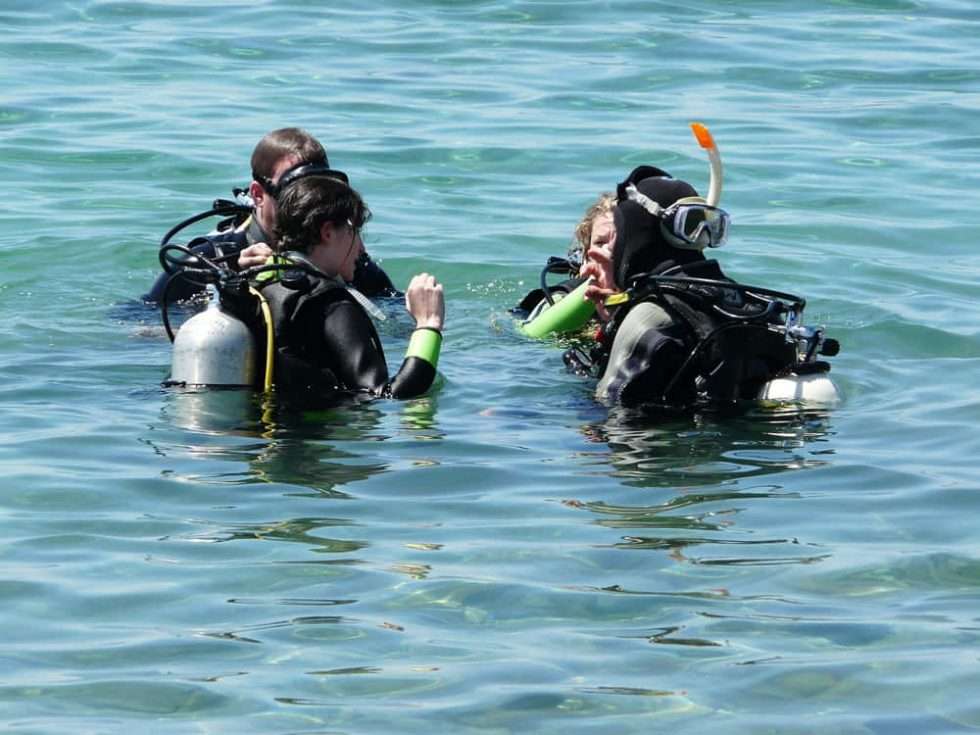 How to Learn to Dive? A Beginner's Guide | DPM Diving