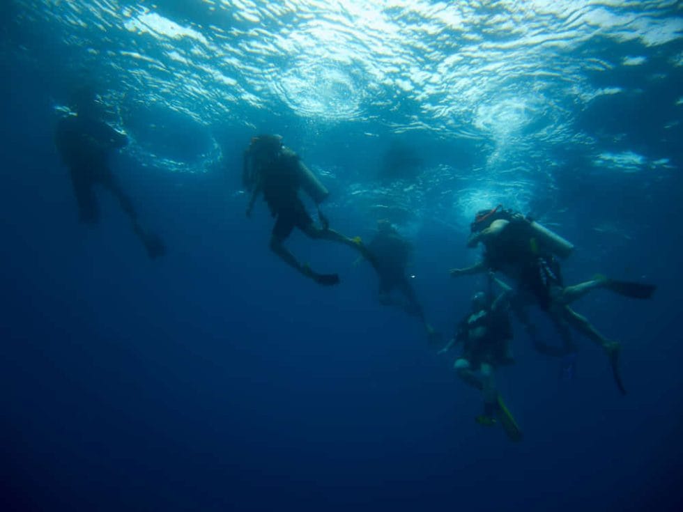 What Is Recreational Diving? Your First Dive! | DPM Diving